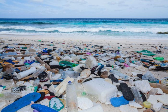 Who wants to help tackle our massive plastic waste problem?