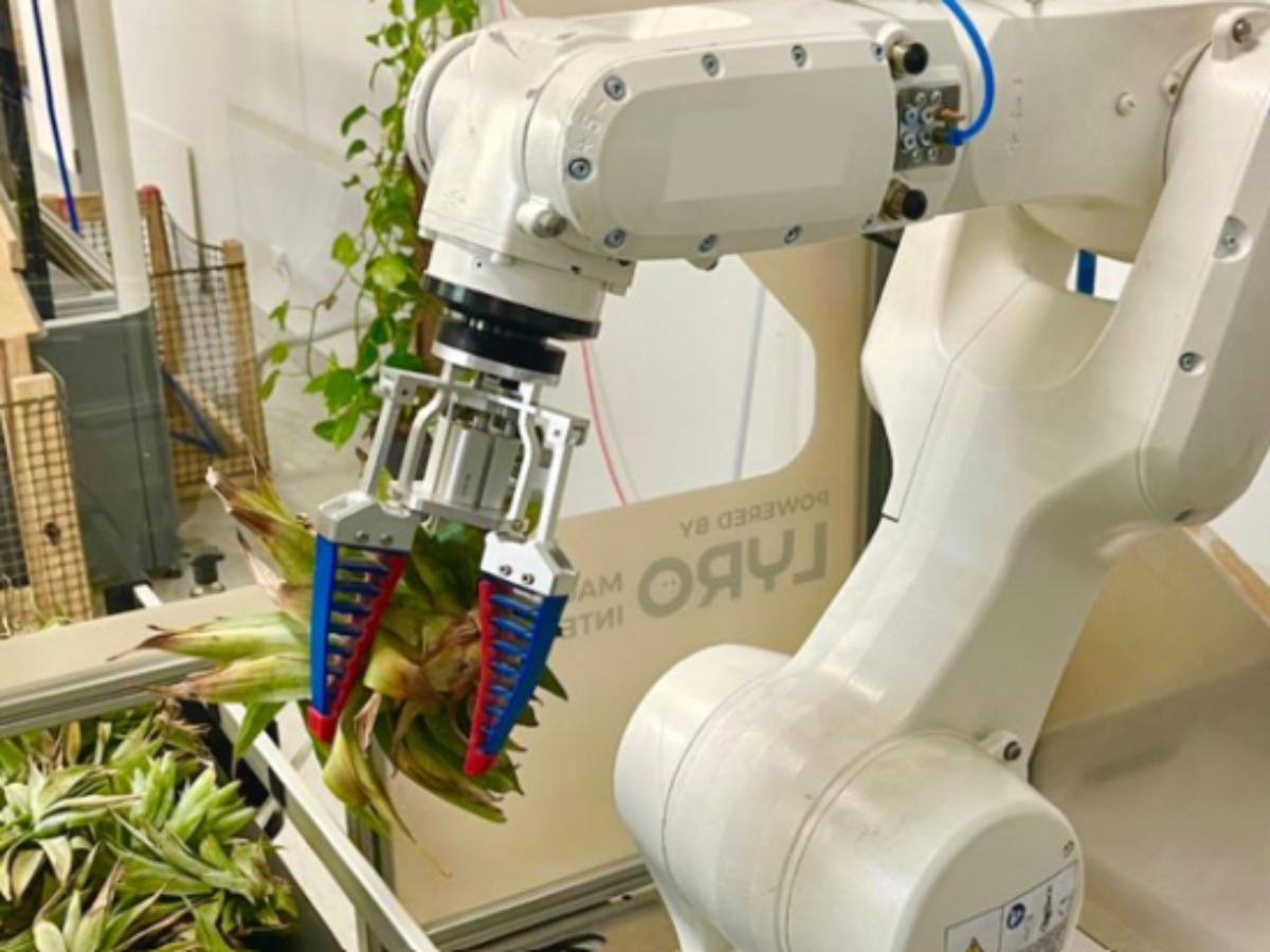 Lyro Robotics capital raise to fund 20 robots - Australian ...