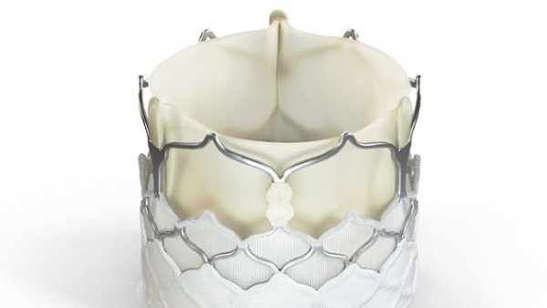 Anteris Technologies reveals trials data of its aortic valve ...