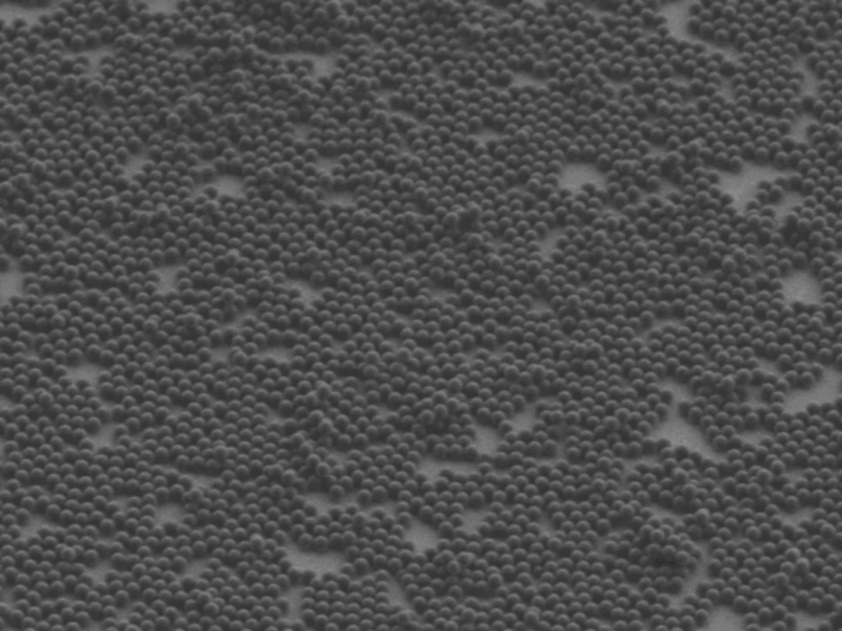 Lucy mochi thot she is on time, she has always been really